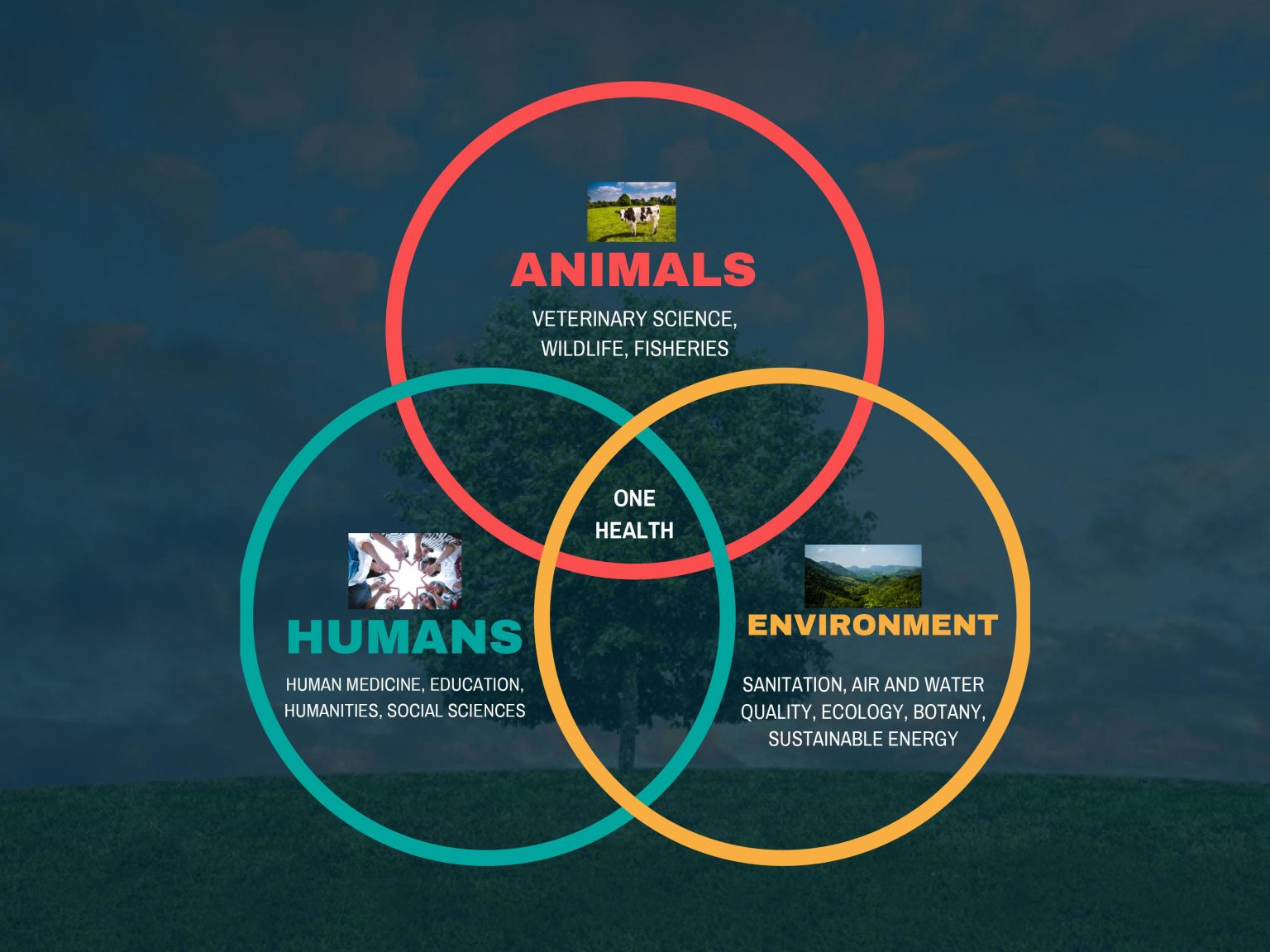 Home | One Health | College of Agriculture, Health, and Natural ...